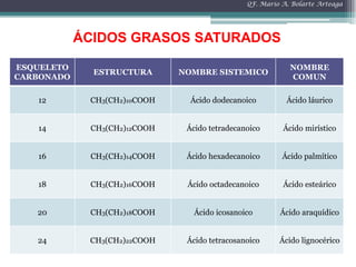 Lipidos Bioquímica | PPTX