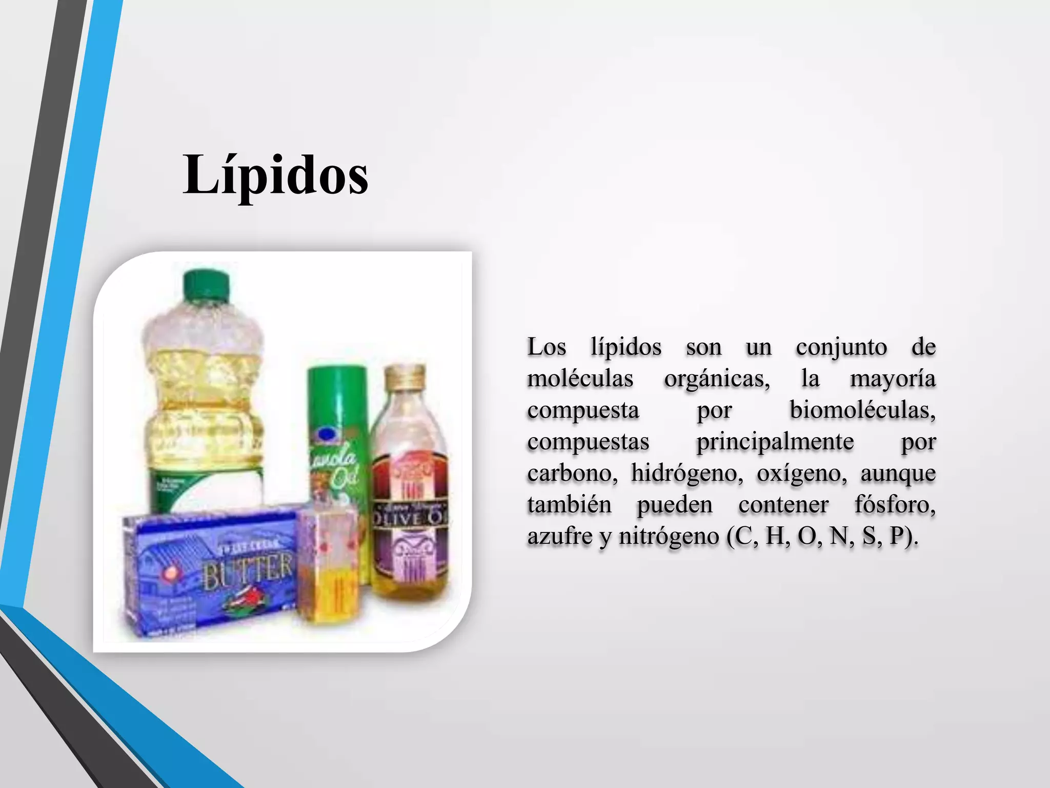 Lipidos bioquimica. | PPTX
