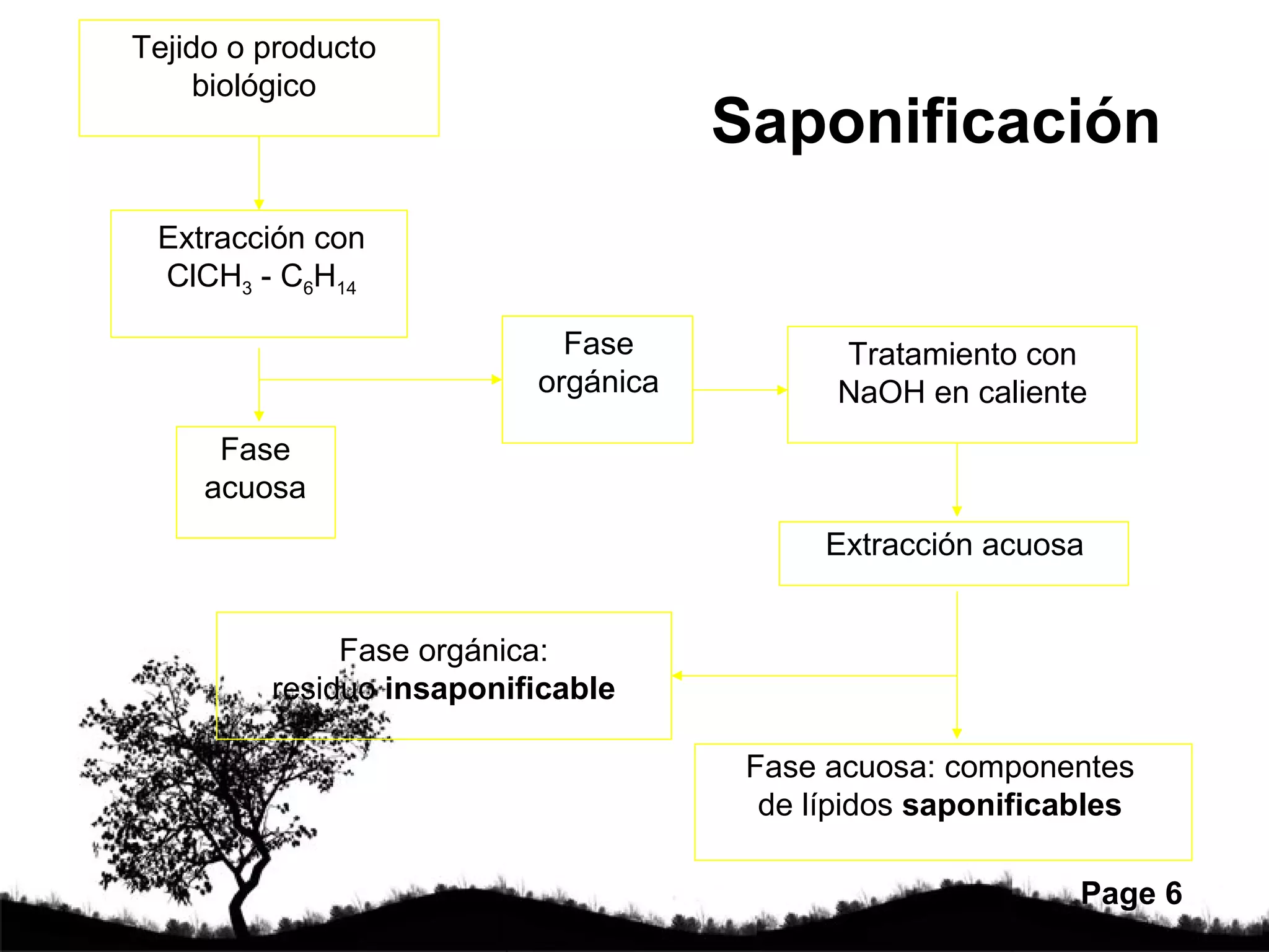 Lipidos Caracteristicas Ppt