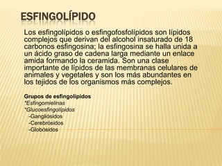 Lipidos compuestos | PPTX