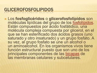 Lipidos compuestos | PPTX