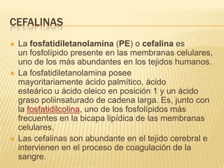 Lipidos compuestos | PPTX