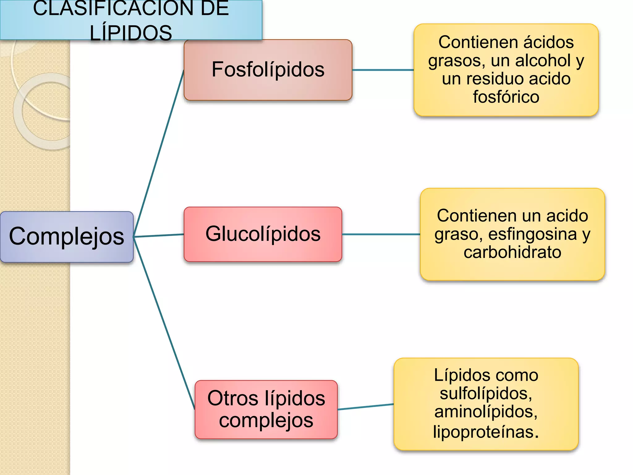 Lipidos de importancia fisiologica | PPT