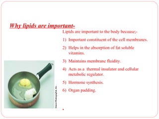 Lipidoses Muhammad Mustansar | PPT