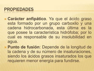 Lipidos exposicion | PPTX