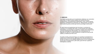 LIPIDOS tipos y aplicación en cosmetica.pptx