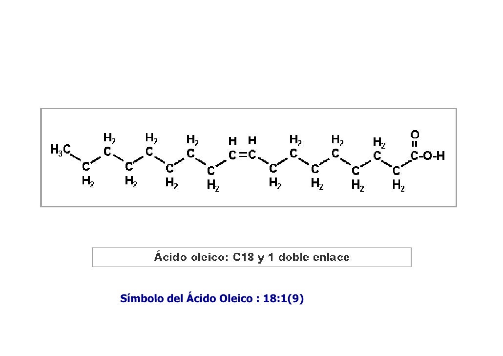 Lipidos Y Lipidos Simples [Modo De Compatibilidad]