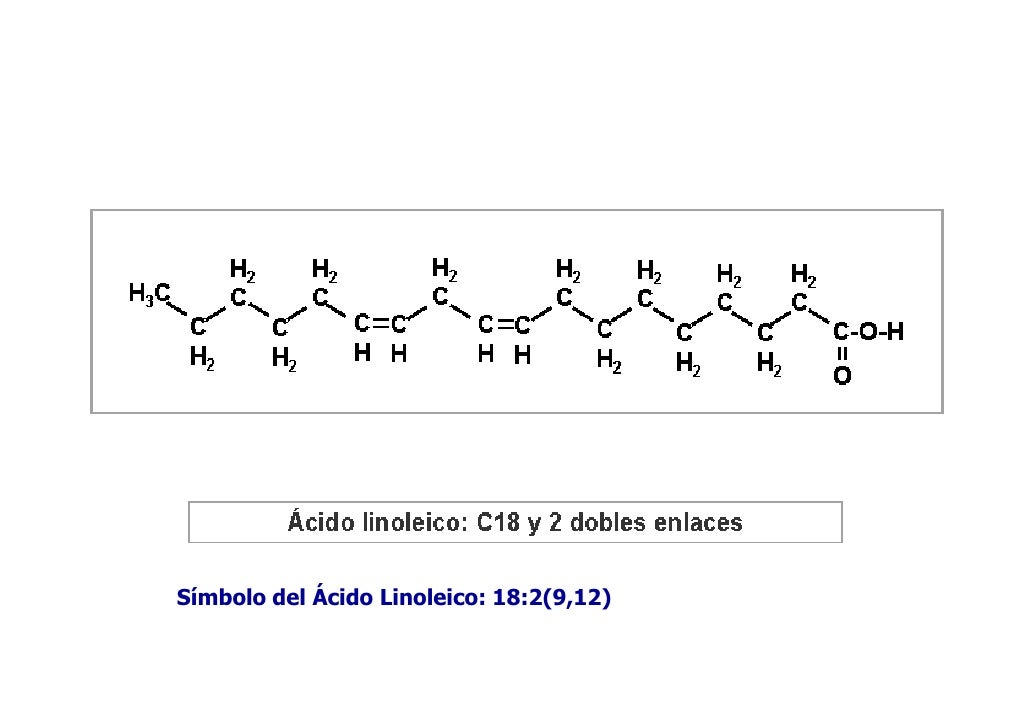 Lipidos Y Lipidos Simples [Modo De Compatibilidad]