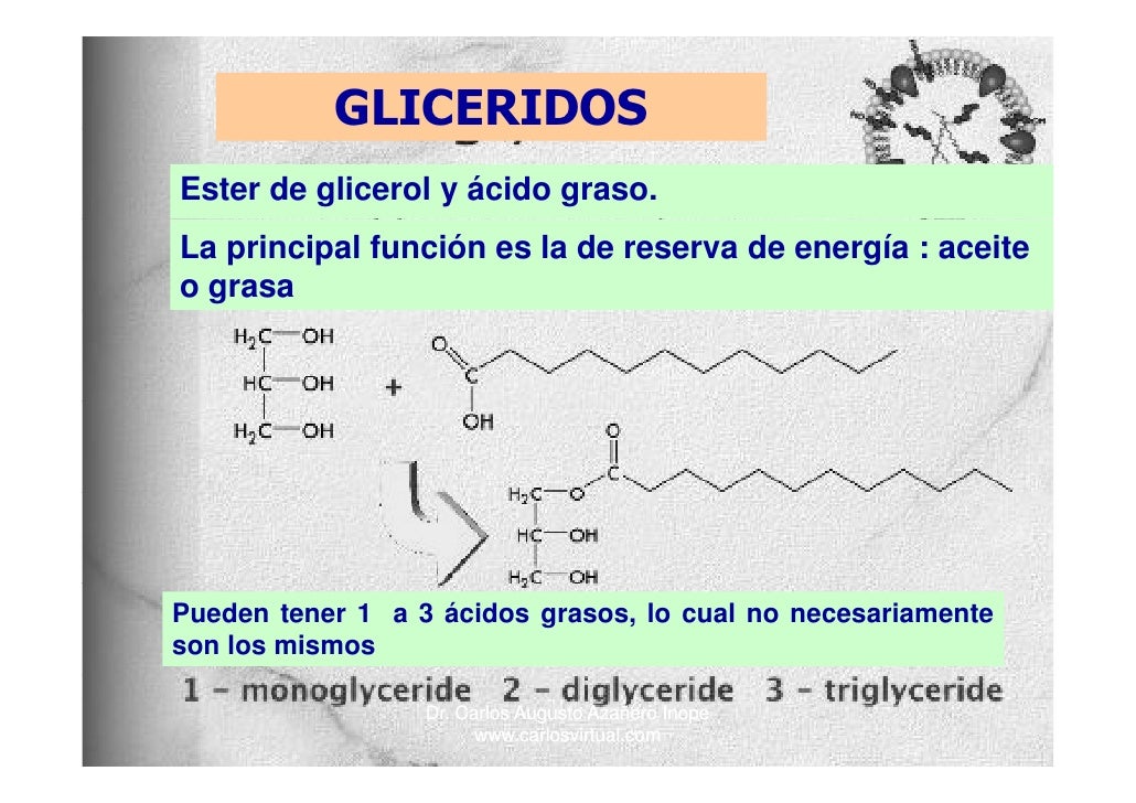Lipidos Y Lipidos Simples [Modo De Compatibilidad]