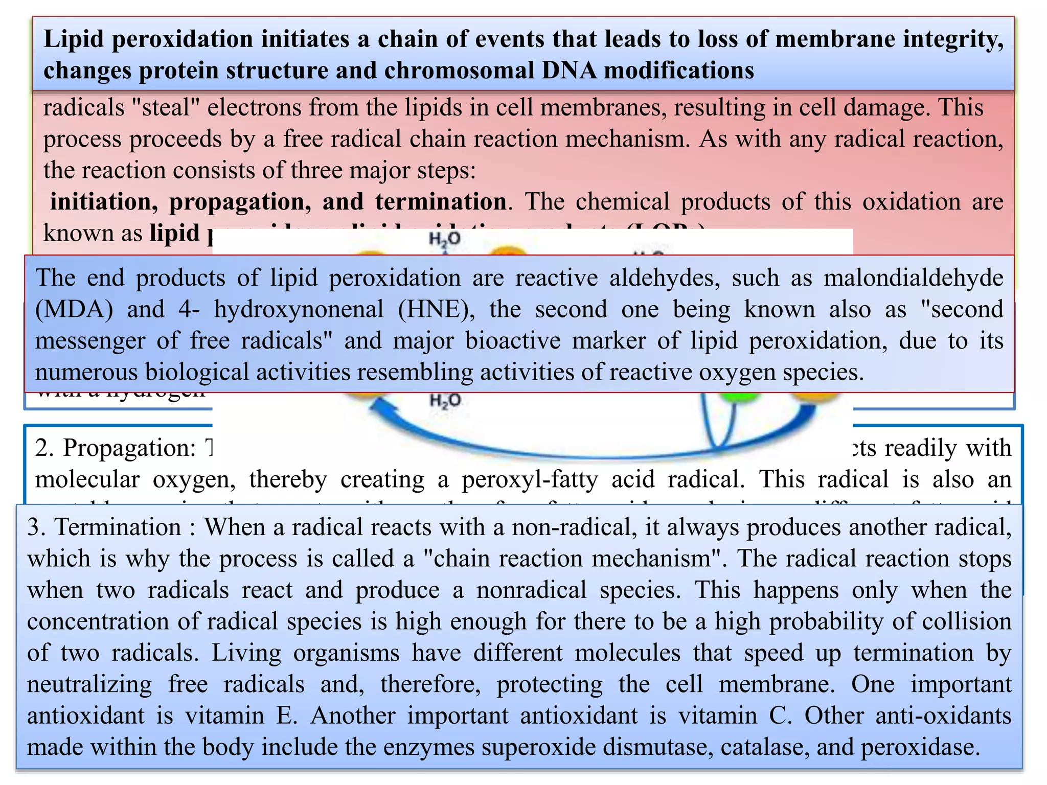 Lipid peroxidation | PPTX