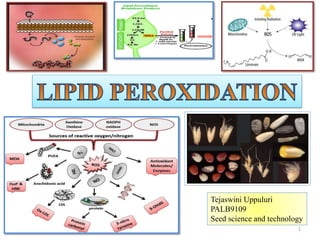 Lipid peroxidation | PPTX