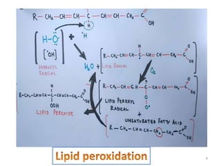 Lipid peroxidation | PPTX