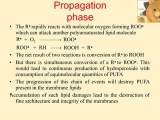 ROS ANTIOXIDENTS | PPT
