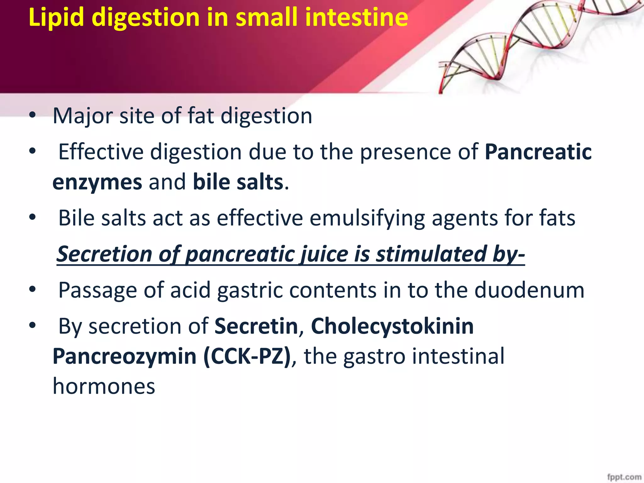 Lipid digestion and absorption | PPTX