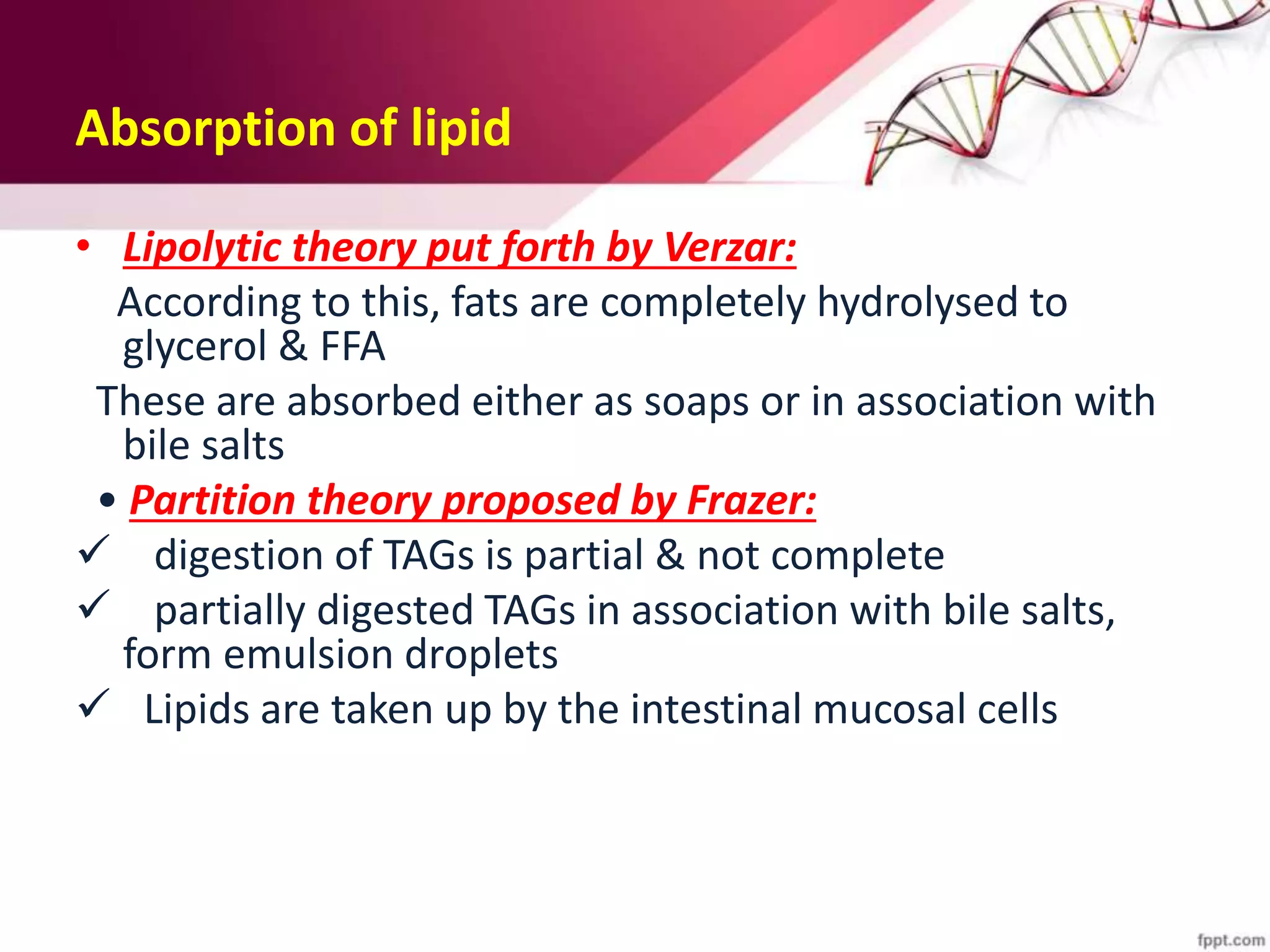 Lipid digestion and absorption | PPTX