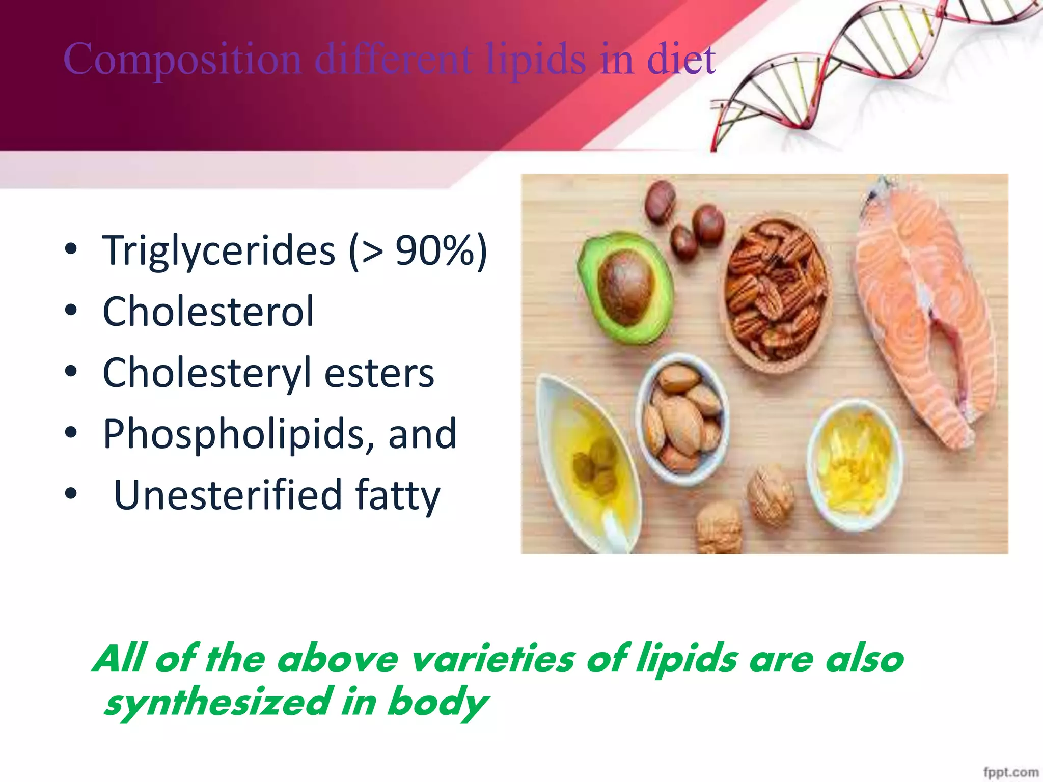 Lipid digestion and absorption | PPTX