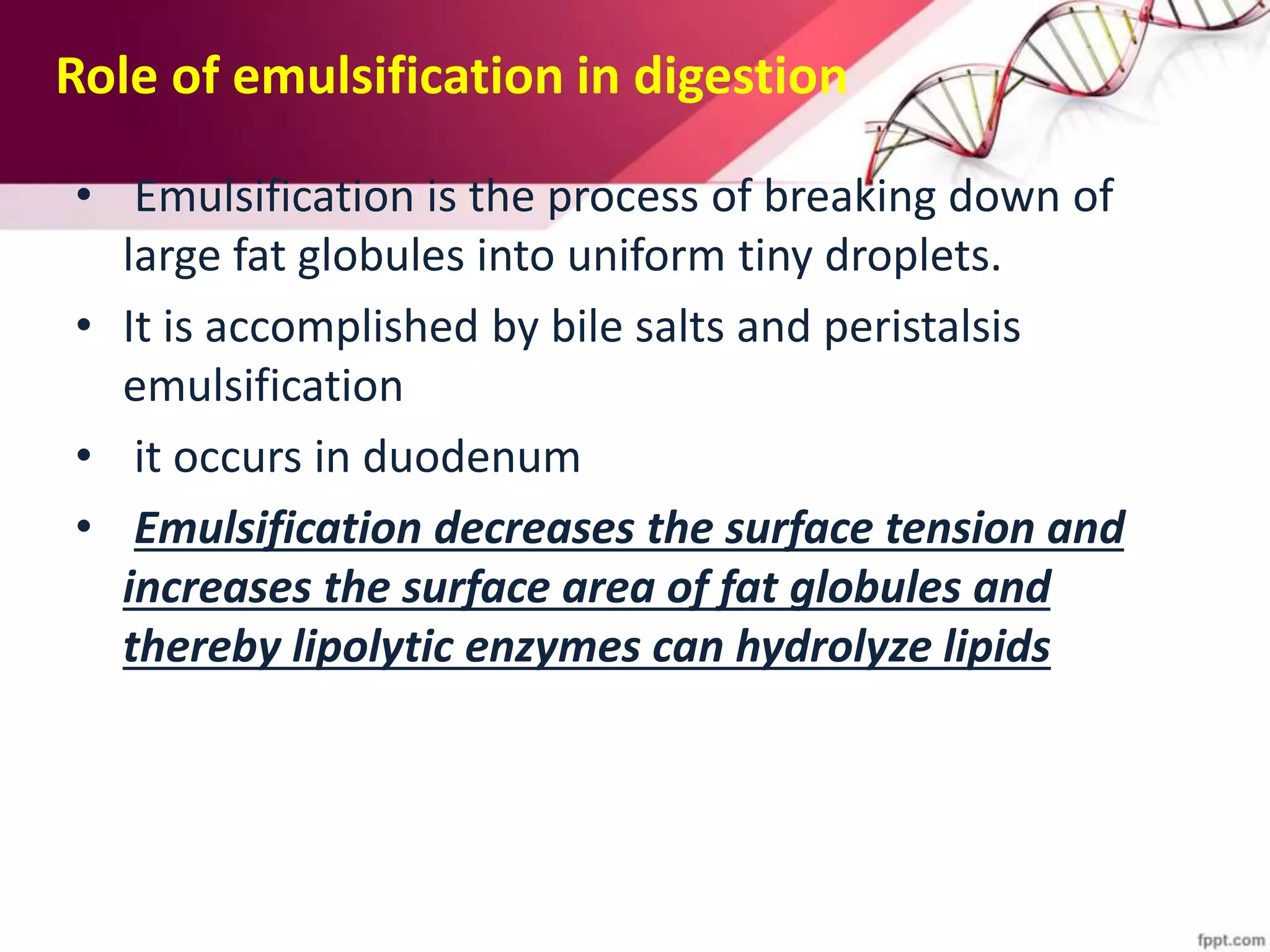 Lipid digestion and absorption | PPTX