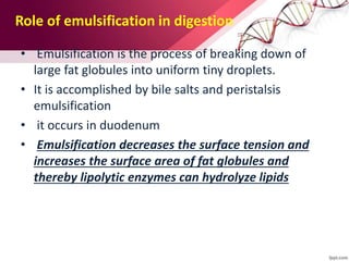 Lipid digestion and absorption | PPTX