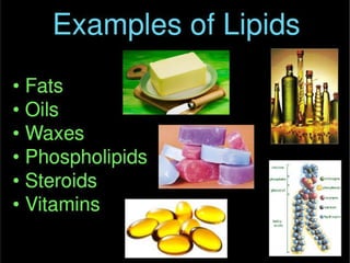 LIPIDS : Introduction,Classification,Example,Disease Related To Lipid Metabolism | PPT