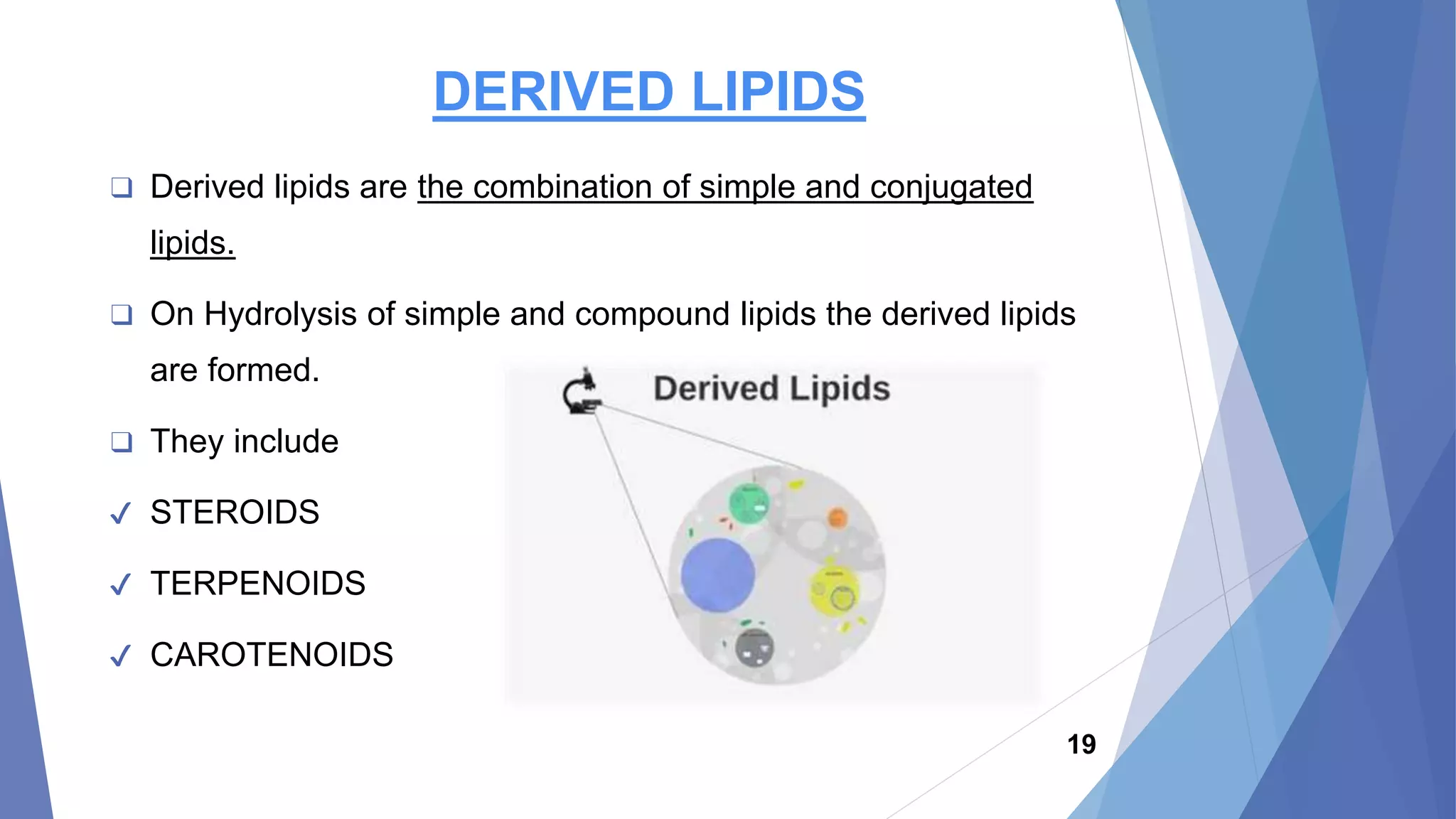 LIPIDS PRESENTATION | PPT