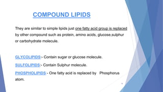 LIPIDS PRESENTATION | PPT
