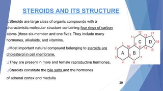 LIPIDS PRESENTATION | PPTX