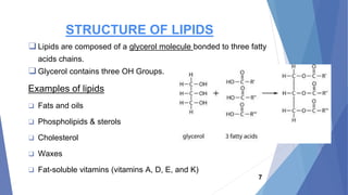 LIPIDS PRESENTATION | PPT