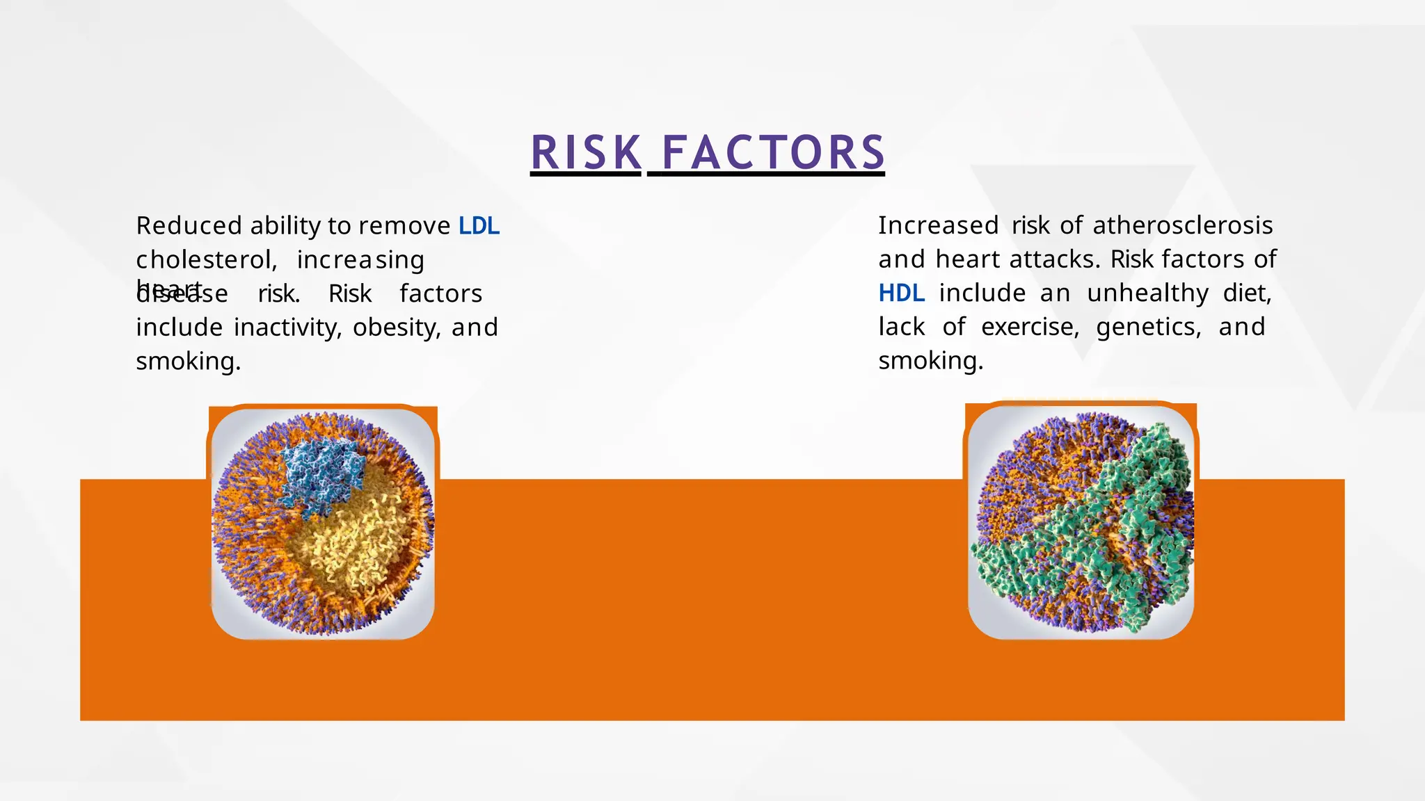 "Lipid Profile: Comprehensive Blood Test for Cholesterol, HDL, LDL ...