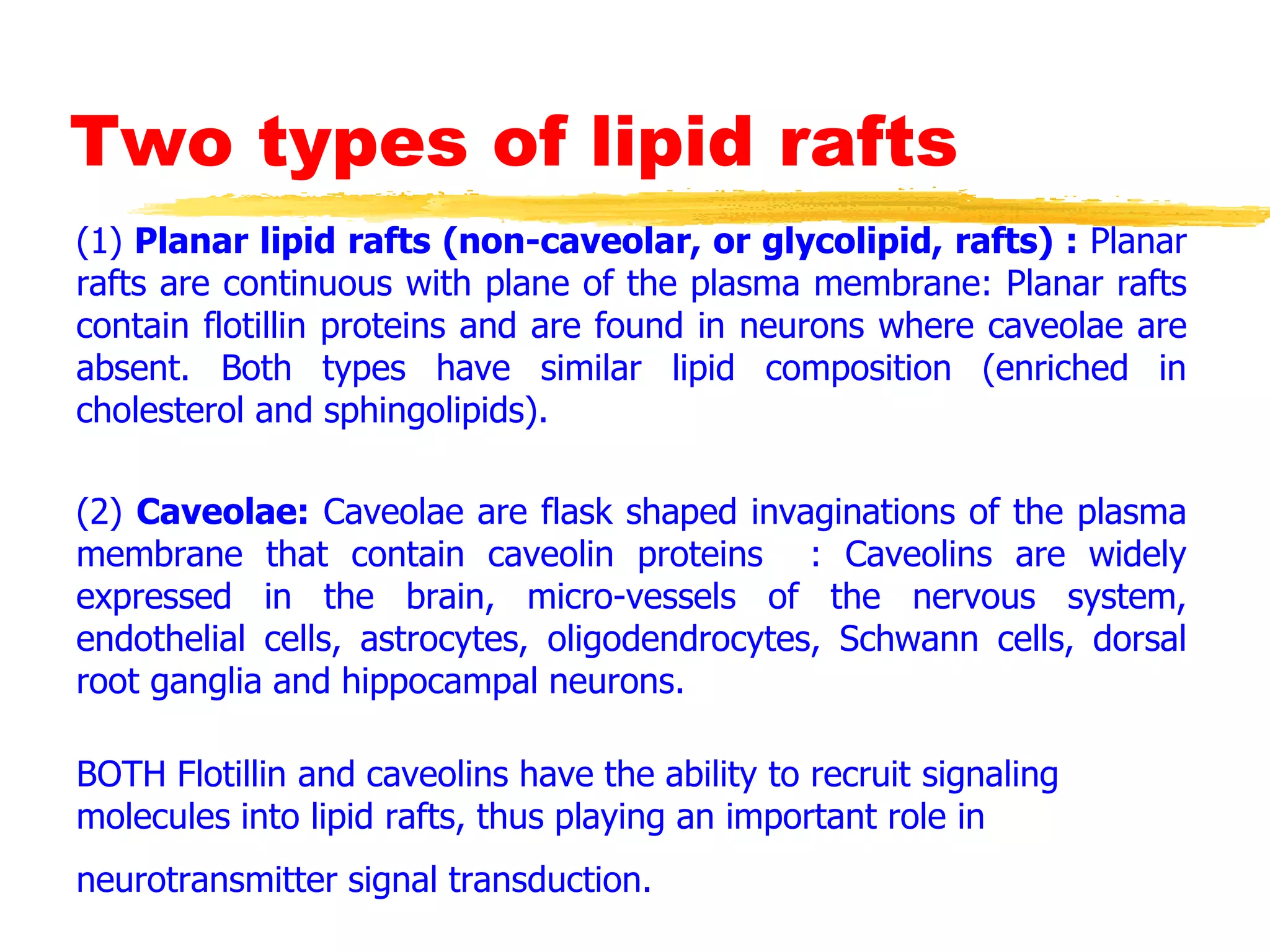 Lipid rafts an overview | PPTX