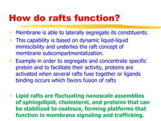 Lipid rafts an overview | PPTX