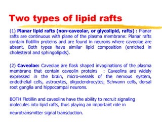 Lipid rafts an overview | PPTX