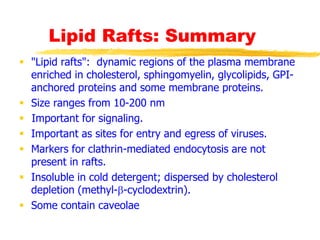 Lipid rafts an overview | PPTX