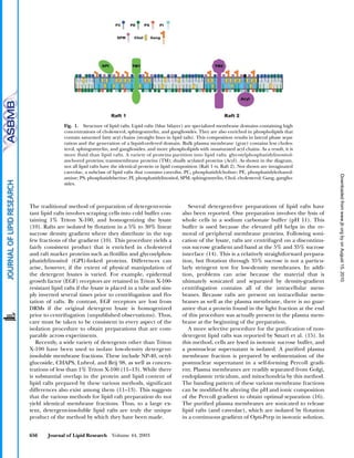 Lipid Rafts: bringing order to chaos | PDF