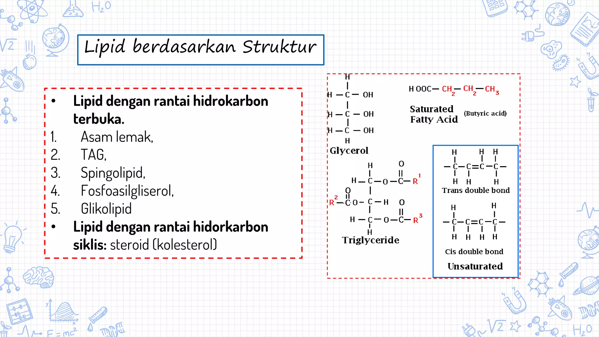 Lipid (Klasifikasi, Aturan Penamaan, Fungsi and Aplikasi pada Kehidupan ...