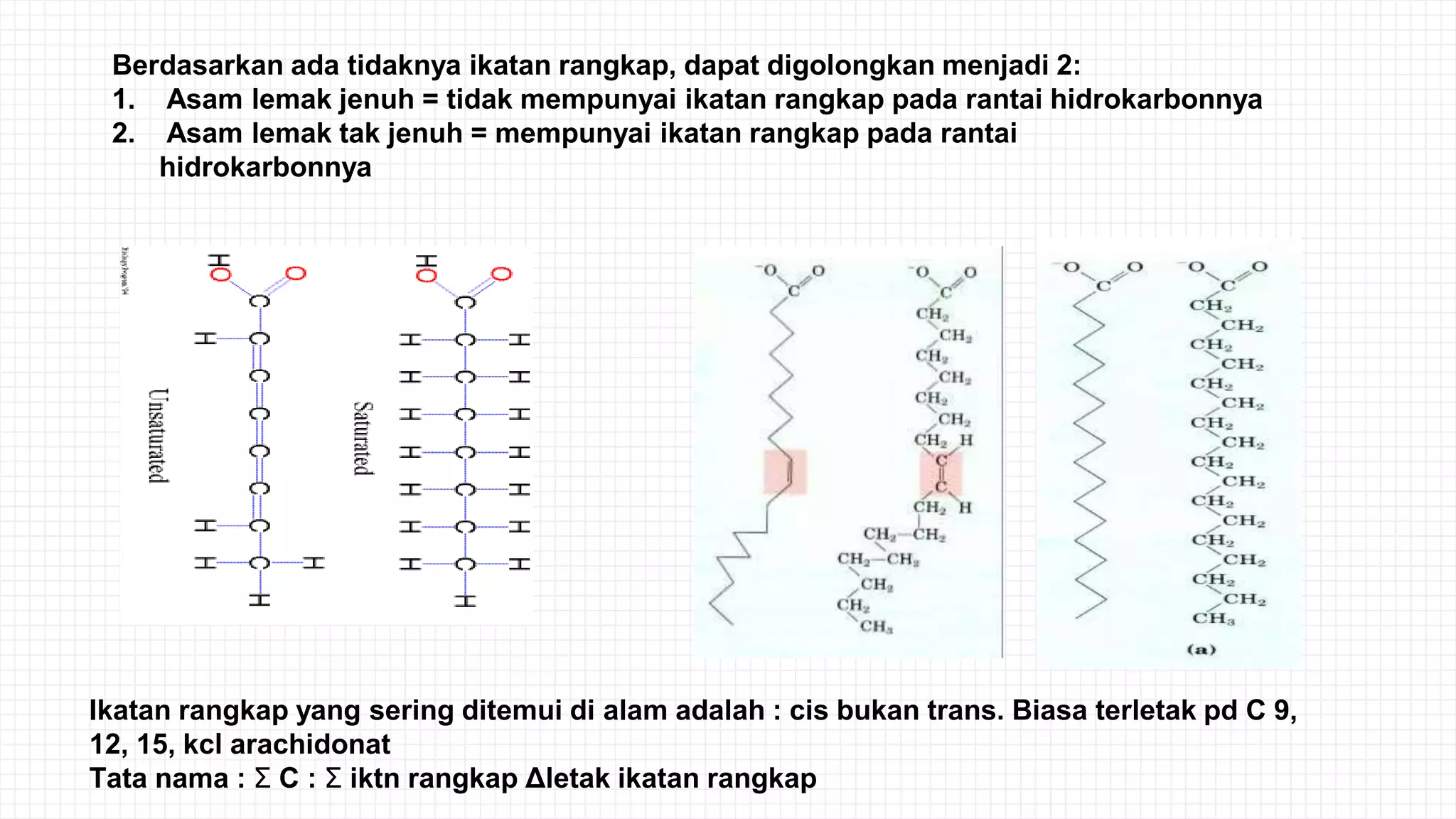 Lipid (Klasifikasi, Aturan Penamaan, Fungsi and Aplikasi pada Kehidupan ...