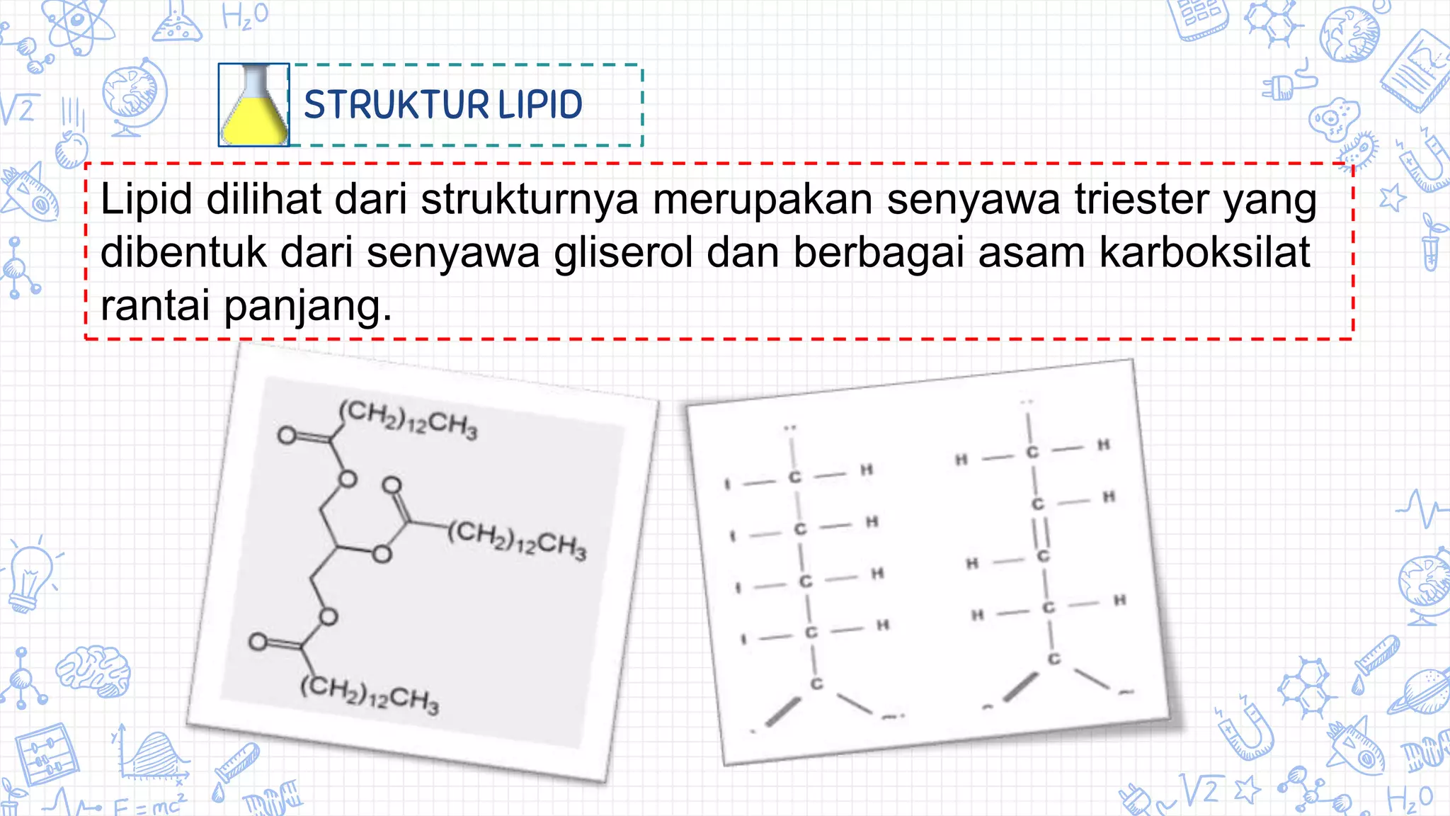 Lipid (Klasifikasi, Aturan Penamaan, Fungsi and Aplikasi pada Kehidupan ...