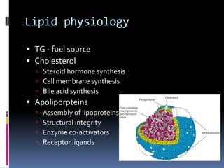 Lipids | PPT