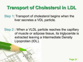 Lipids | PPT