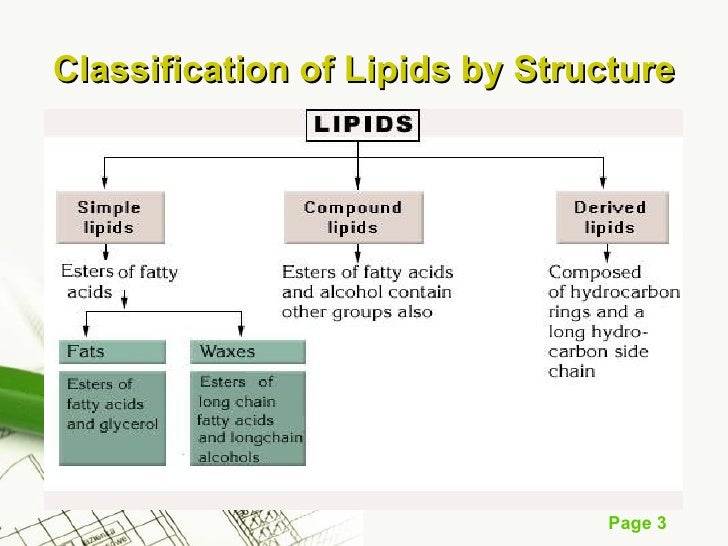 Lipids Structure Function And Classification Of Lipids