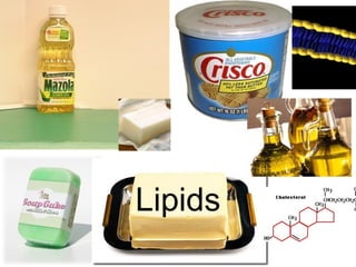 Lipids | PPT