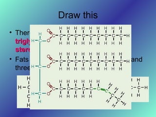 Lipids | PPT
