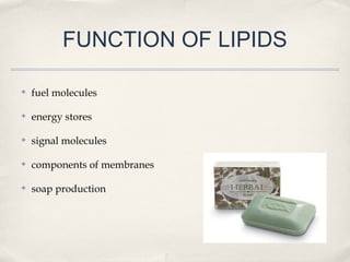 Lipids | PPT