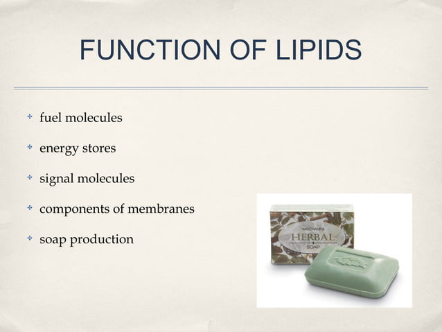 Lipids | PPT | Chemistry | Science
