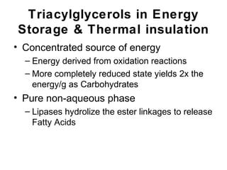 Lipids | PPT
