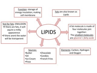 Lipids | PPTX | Chemistry | Science