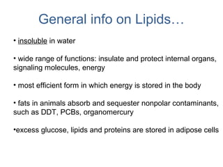 Lipids | PPT