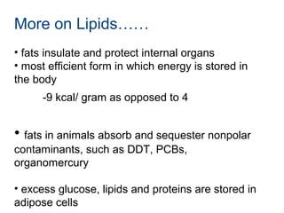 Lipids | PPT