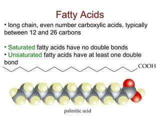Lipids | PPT