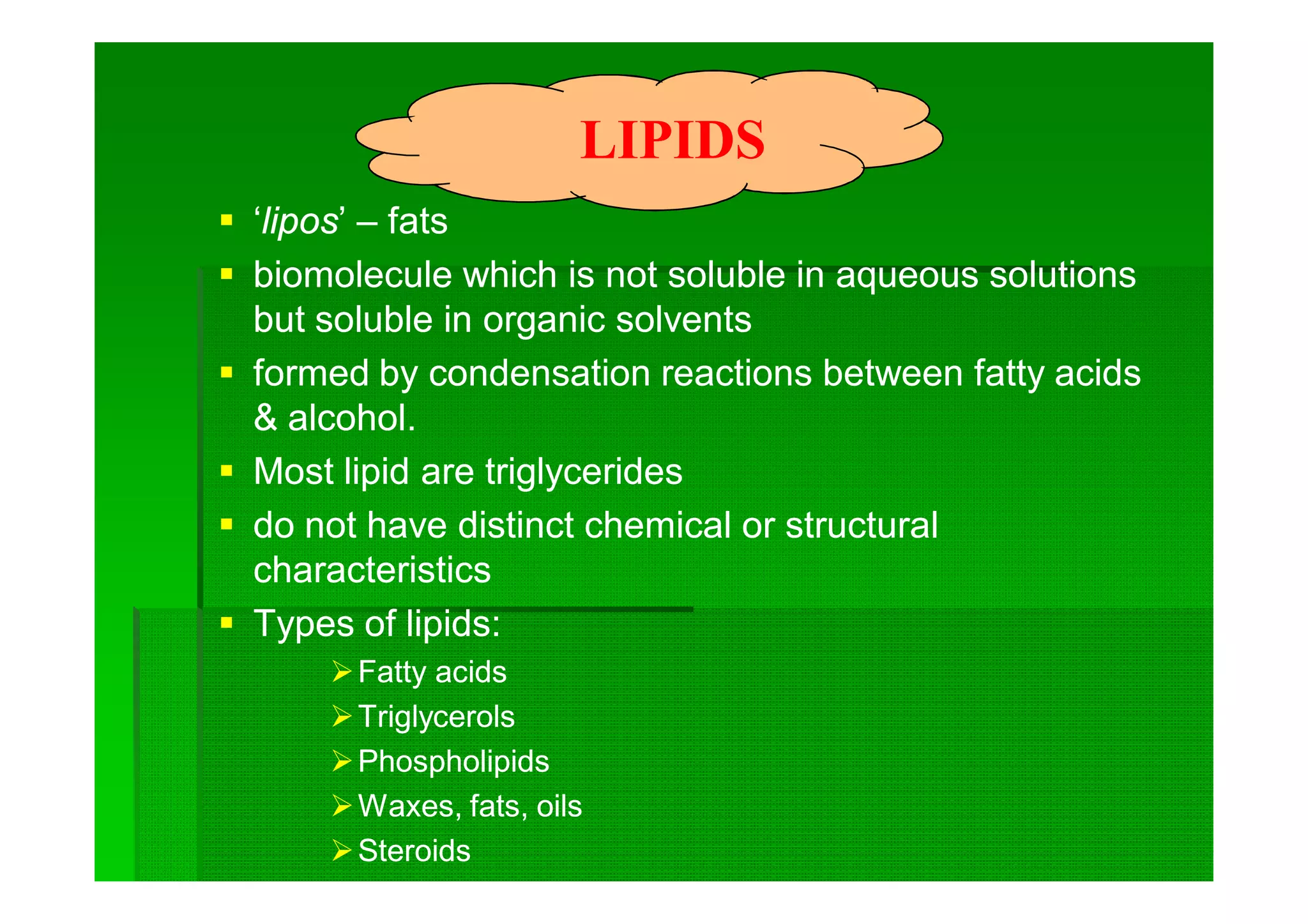 Lipids | PDF
