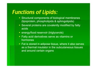 Lipids | PDF